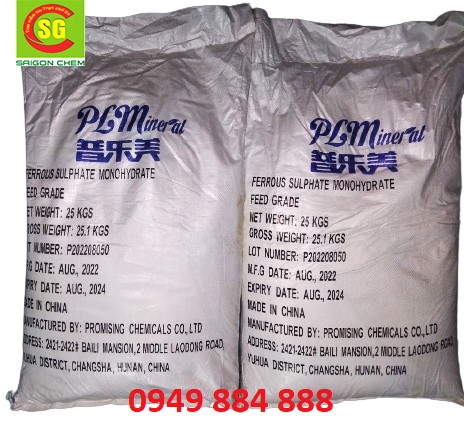 FERROUS SULPHATE MONOHYDRATE LÀ GÌ?